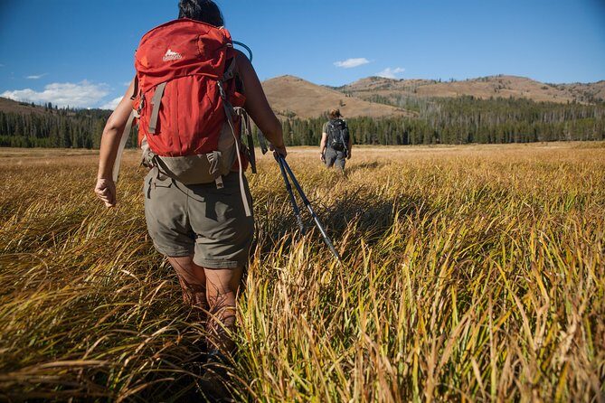 Yellowstone Full Day Private Hike - The Value of a Private Guided Hike