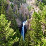 Yellowstone Full Day Private Tour - Who Should Consider This Yellowstone Tour?
