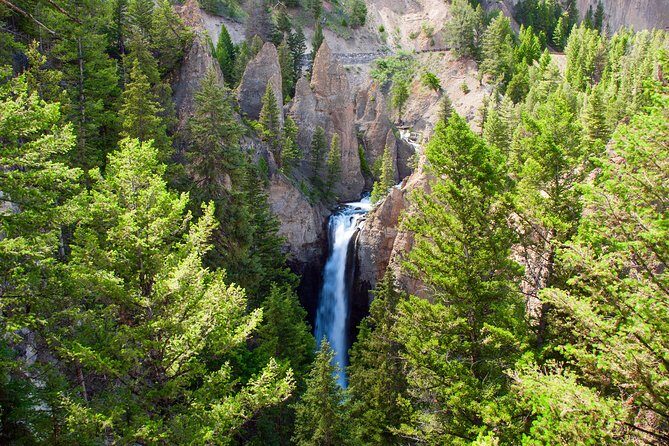 Yellowstone Full Day Private Tour - Who Should Consider This Yellowstone Tour?