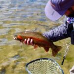 Yellowstone Full Day Wade Fishing Trip - The Itinerary: What You Can Expect