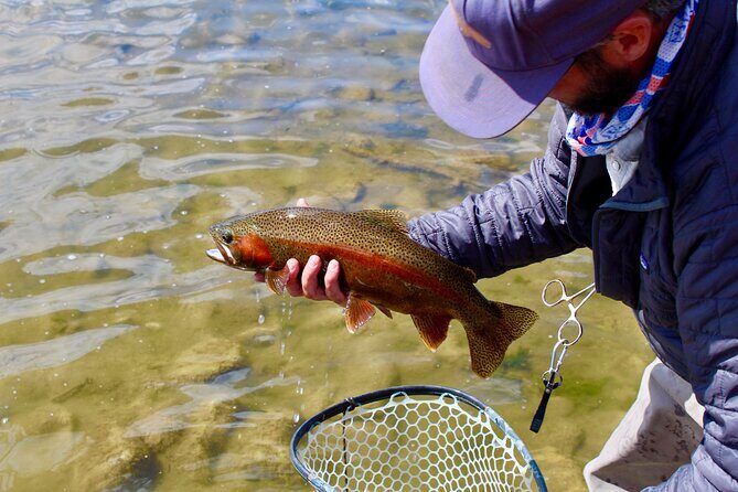 Yellowstone Full Day Wade Fishing Trip - The Itinerary: What You Can Expect