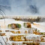 Yellowstone & Grand Teton National Parks Winter Tour 5-Day - Is This Tour Right for You?