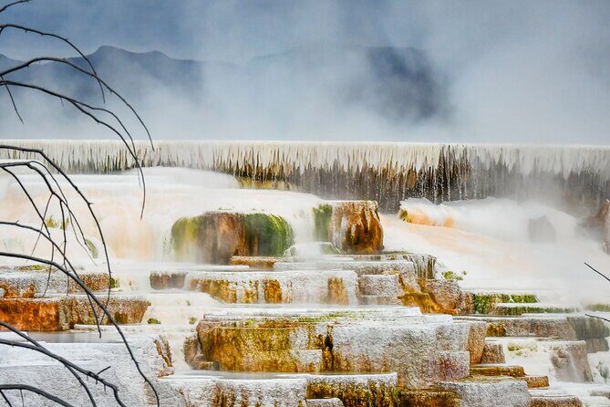 Yellowstone & Grand Teton National Parks Winter Tour 5-Day - Is This Tour Right for You?