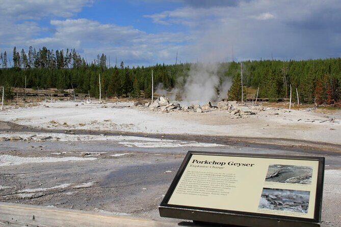 Yellowstone Lower Loop VIP Full-Day Private Tour with Lunch - What This Tour Means for You