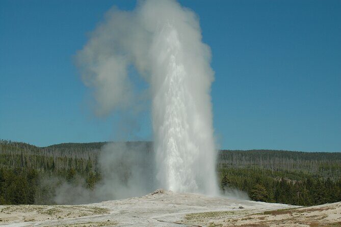 Yellowstone Lower (Southern) Loop Tour - What to Expect from the Experience