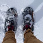 Yellowstone Snowshoe Adventure - Private Tour from Jackson Hole - Exploring the Itinerary in Detail