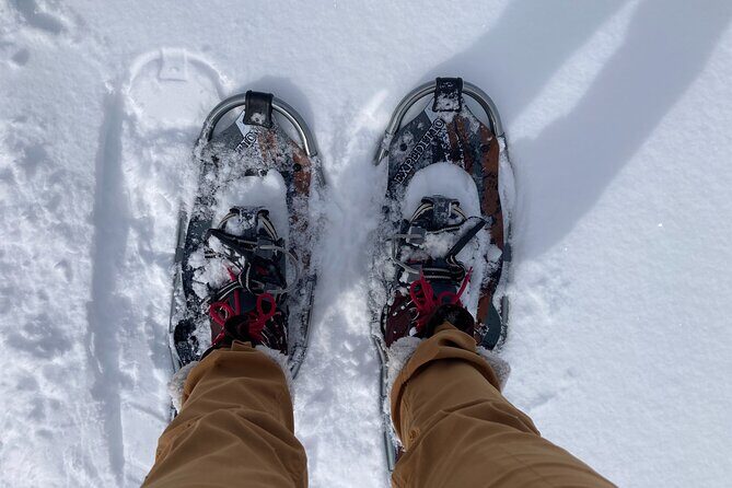 Yellowstone Snowshoe Adventure - Private Tour from Jackson Hole - Exploring the Itinerary in Detail
