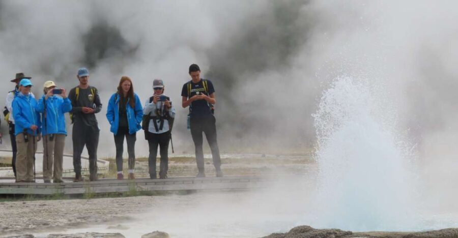 Yellowstone: Upper Geyser Basin Hike with Lunch - The Main Attractions: Geothermal Wonders and Wildlife