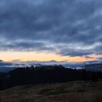 Yellowstone Wildlife Tour - Detailed Breakdown of the Itinerary