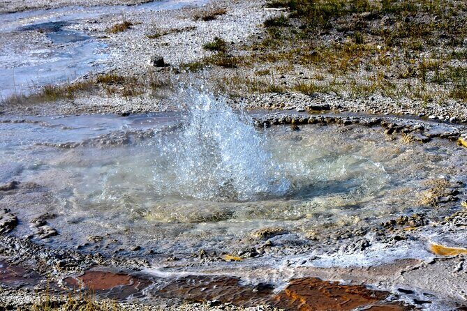 Yellowstone's Old Faithful Self-Guided Walking Tour - Why This Tour Provides Real Value