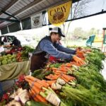Yolo County Explorer: Culinary & Cultural Audio Tour - What Travelers Say