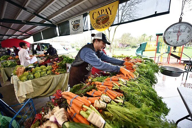 Yolo County Explorer: Culinary & Cultural Audio Tour - What Travelers Say