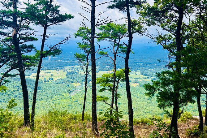 Yonah Mountain Hike Private Tour in Georgia - The Cultural Touch in Helen