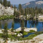 Yosemite and Kings Canyon National Park 2 Day Tour from LA - Day 2: Yosemite National Park