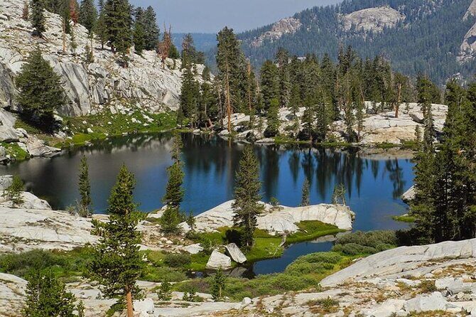 Yosemite and Kings Canyon National Park 2 Day Tour from LA - Day 2: Yosemite National Park