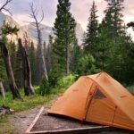 Yosemite Classic Camping Trips - Authenticity and Traveler Feedback