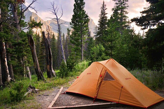 Yosemite Classic Camping Trips - Authenticity and Traveler Feedback
