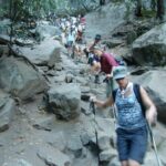 Yosemite Day Hike from Glacier Point Including Panorama Trail - The Trail: From Glacier Point to the Valley Floor