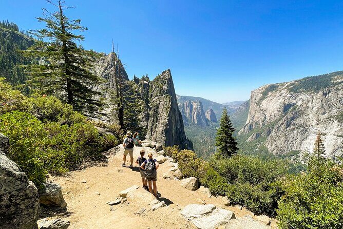 Yosemite Family Explorers - Customizable Private Tour - Who Will Love This Tour?