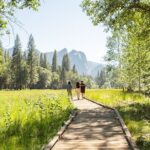 Yosemite Full Day Private Tour and Hike - The Value of a Gourmet Picnic and Expert Guidance