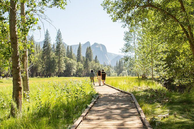 Yosemite Full Day Private Tour and Hike - The Value of a Gourmet Picnic and Expert Guidance