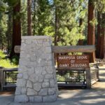 Yosemite, Giant Sequoias, Private Tour from San Francisco - The Value in Context