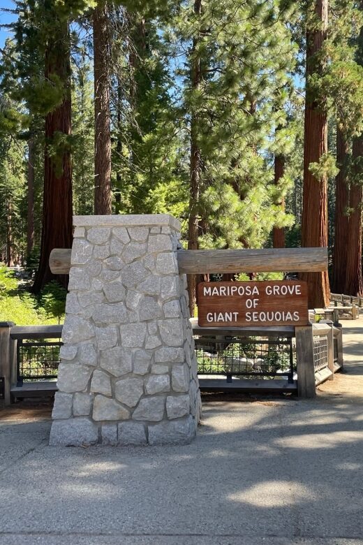Yosemite, Giant Sequoias, Private Tour from San Francisco - The Value in Context