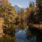 Yosemite Highlights & Giant Sequoias Day Tour from San Francisco - The Value and Practicalities