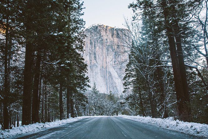 Yosemite National Park 2-Day Winter Tour from San Francisco - The Itinerary in Detail