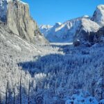 Yosemite National Park Day Tour with Optional Alcatraz - Logistics & Practicalities