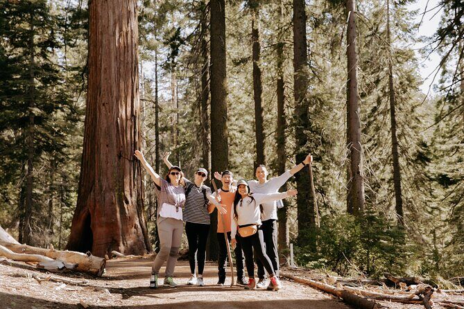 Yosemite National Park & Giant Sequoias 2-Day Semi-Guided Tour - Final Words