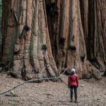 Yosemite Women's Only 3-Day Lodging Adventure from San Francisco - The Practicalperks and Considerations