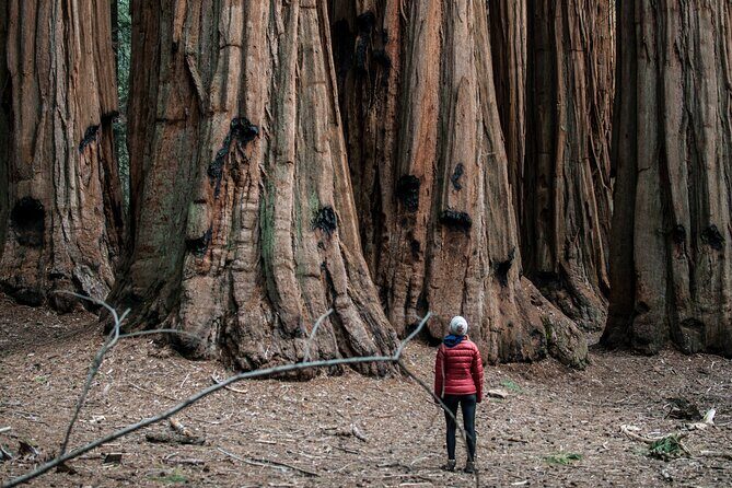 Yosemite Women's Only 3-Day Lodging Adventure from San Francisco - The Practicalperks and Considerations