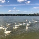 Your Own Belgrade: Unexpected Treasures of the City - Authentic Experiences & What Travelers Say