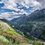 Yukon Suspension Bridge and Summit Tour - Who Will Love This Tour?
