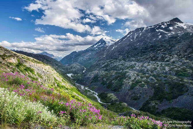 Yukon Suspension Bridge and Summit Tour - Who Will Love This Tour?