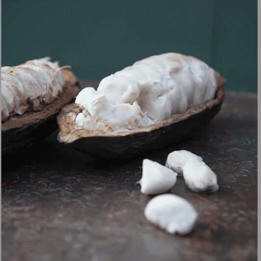 Zaandijk: Chocolate making demonstration & tasting - What Makes This Workshop Stand Out?