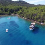 Zadar: Fun Swim and Snorkel Short Day Trip - Pricing and Value