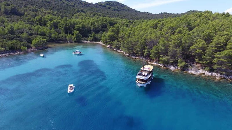 Zadar: Fun Swim and Snorkel Short Day Trip - Pricing and Value