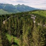Zakopane: Bachledka Treetop Walk and Strbske Pleso Tour - Who Will Love This Tour?