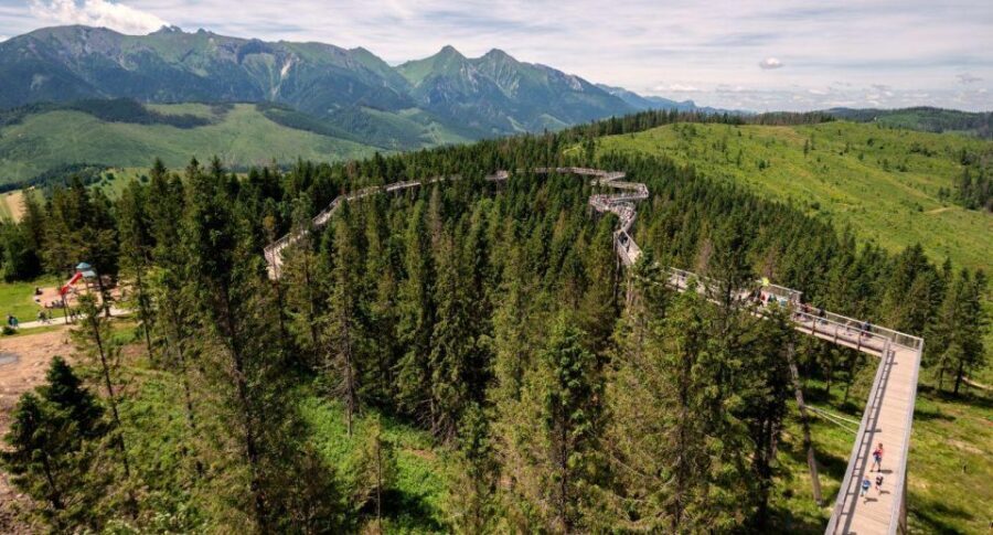 Zakopane: Bachledka Treetop Walk and Strbske Pleso Tour - Who Will Love This Tour?
