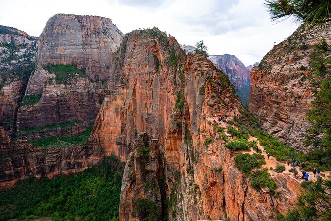 Zion Full Day Small Group Tour with Narrows - Real-World Experiences and Tips