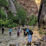 Zion National Park Small Group Tour from Las Vegas - Transportation & Group Size: Why It Matters