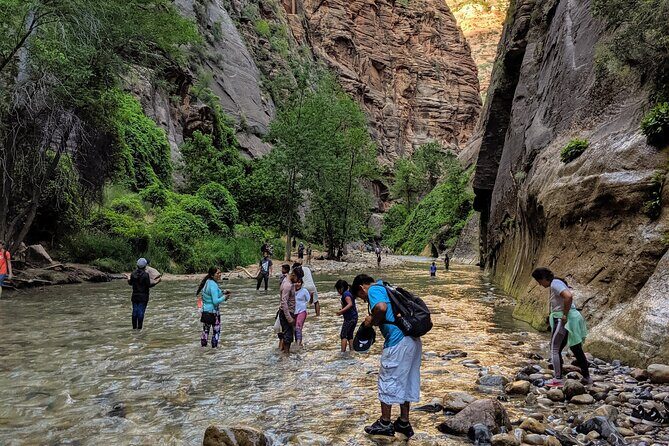 Zion National Park Small Group Tour from Las Vegas - Transportation & Group Size: Why It Matters