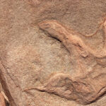 Zion National Park: UTV Outback Tour - What Travelers Say