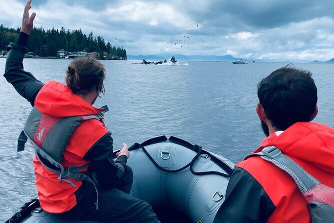 Zodiac Fast Boat Adventure - Is It Right for You?