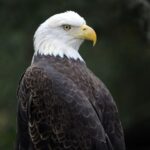 Zoo Miami: General Admission Ticket - Exploring the Exhibits and Experience
