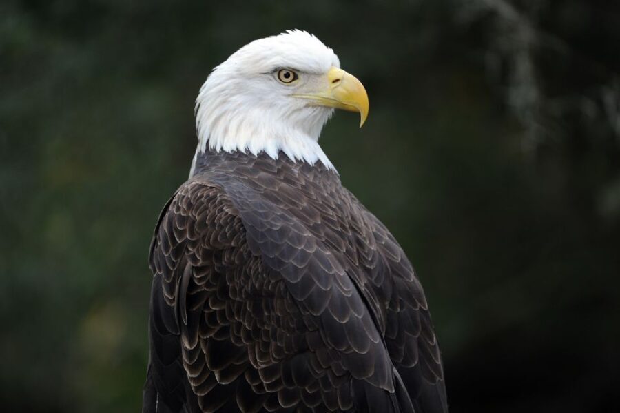 Zoo Miami: General Admission Ticket - Exploring the Exhibits and Experience