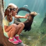 Zoo Miami Ticket with Optional Upgrade - FAQs