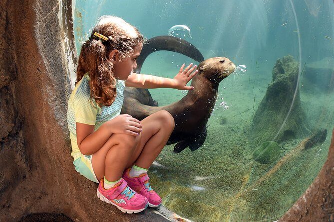 Zoo Miami Ticket with Optional Upgrade - FAQs